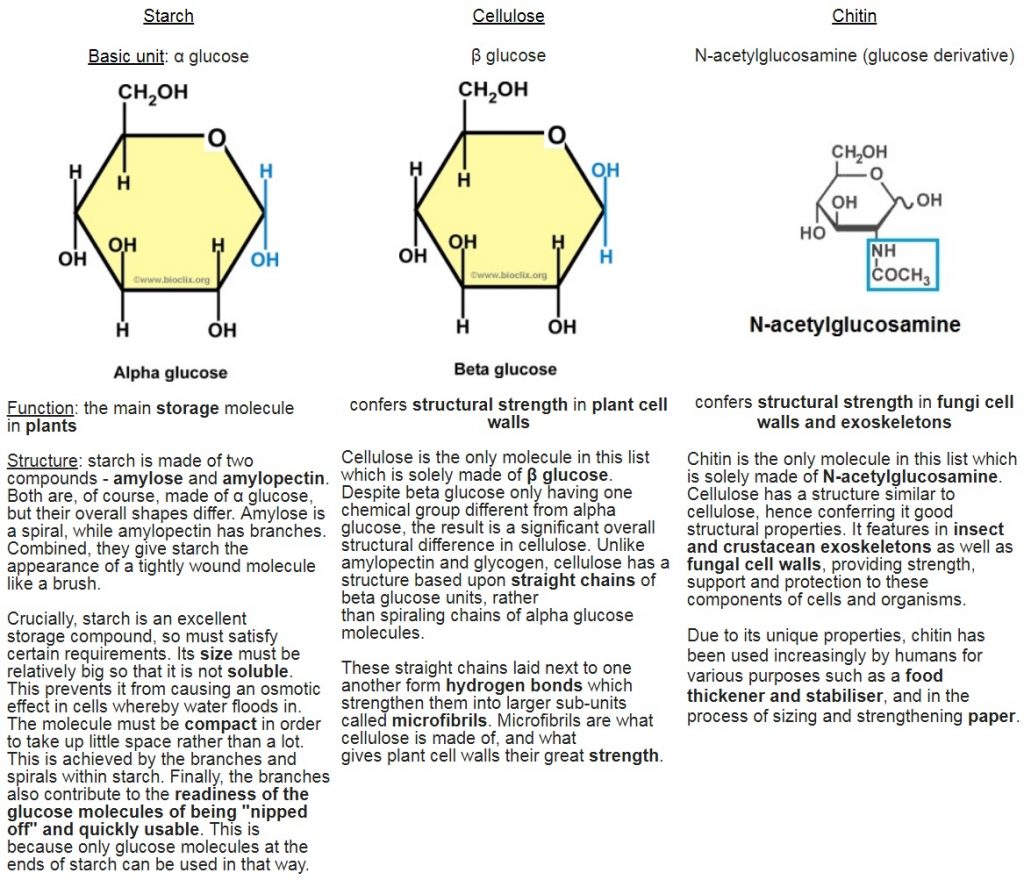  Starch Cellulose And Chitin The A Level Biologist Your Hub 