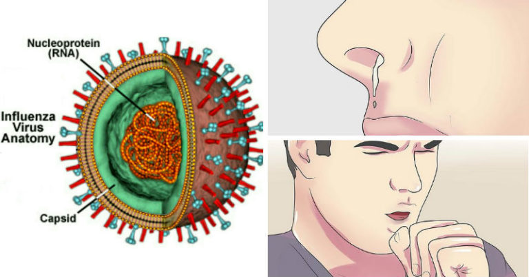 infection_detection | The A Level Biologist - Your Hub