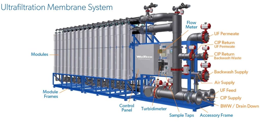 water_system | The A Level Biologist - Your Hub