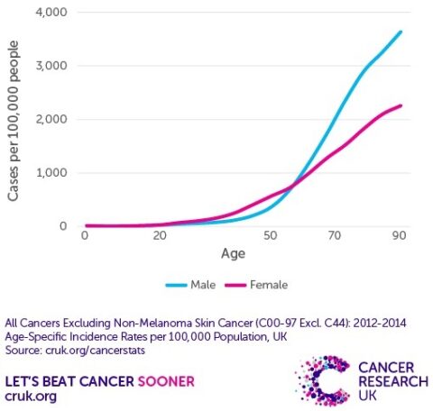 The cellular basis of cancer and treatment | The A Level Biologist ...