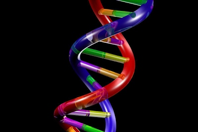 dnacolour | The A Level Biologist - Your Hub