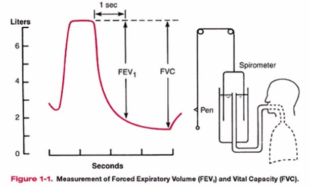 spiro | The A Level Biologist - Your Hub